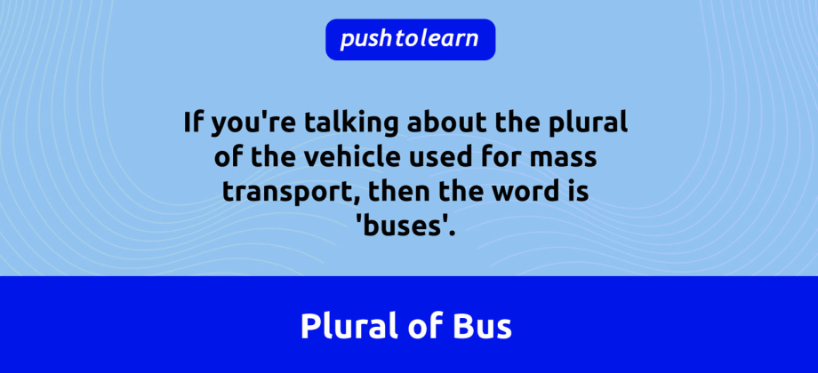 Plural of Bus
